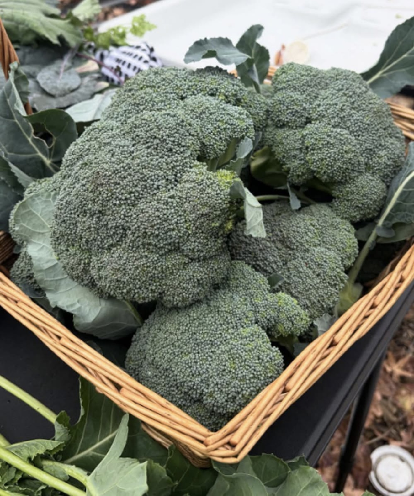 Läkare avslöjar att att äta broccoli orsakar … - Dagbok